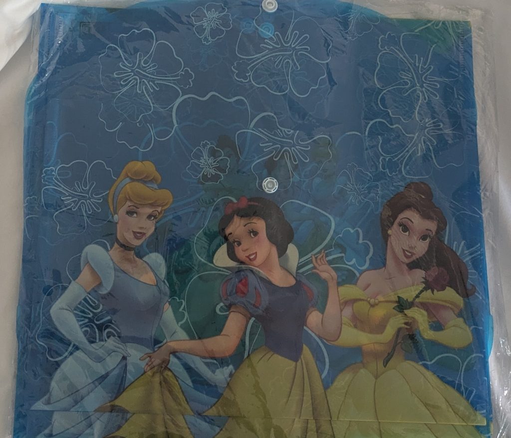 Gift: Disney Princesses Plastic Bag (12 Pack) | Professional Book Fairs